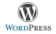 如何解决WordPress5.8+astra主题自定义页面不显示-魏艾斯笔记